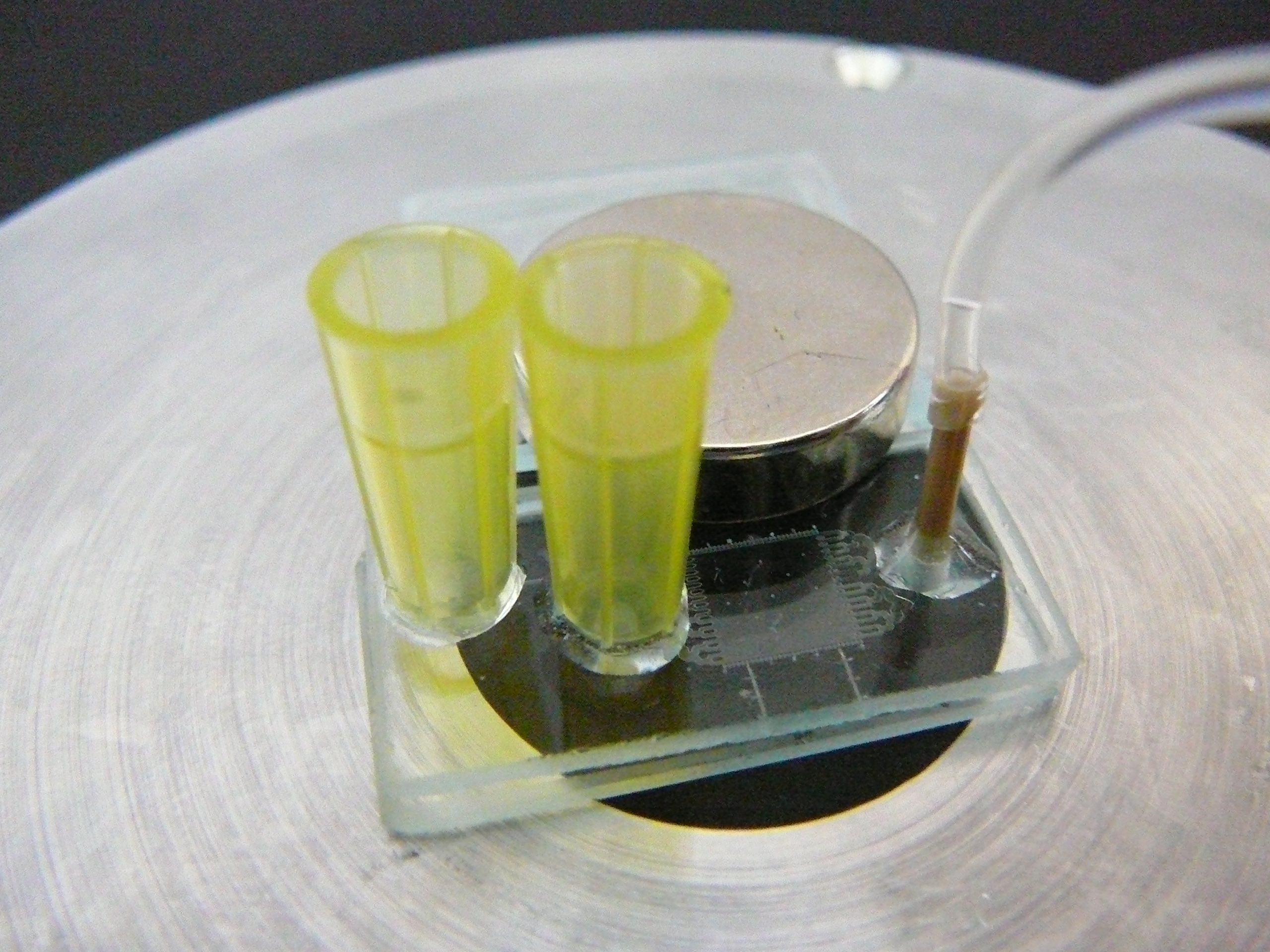 Diagnostics devices – Lab-on-a-Chip Fabrication Facility